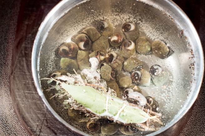 How to cook periwinkles